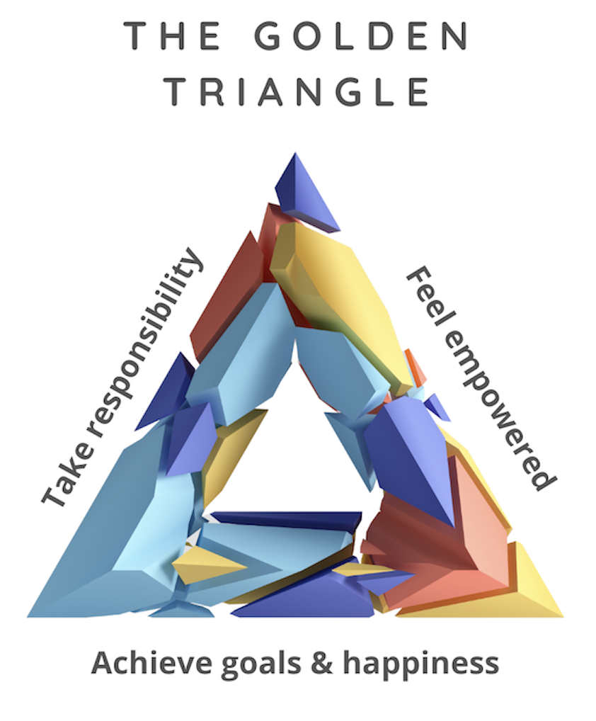 Brian Tracy Goals Book Insights